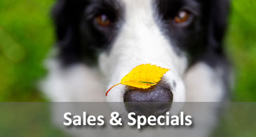 Four Your Paws Only - Pet Specialty Store