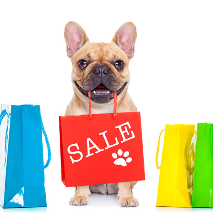 Shop Our Pet Specialty Store - Four Your Paws Only