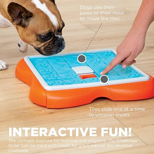 Outward Hound - Challenge Slider - Level 3 - Four Your Paws Only