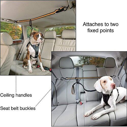 Kurgo - Auto Zip Line - Four Your Paws Only