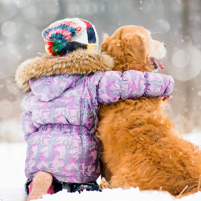 Shop Our Pet Specialty Store - Four Your Paws Only