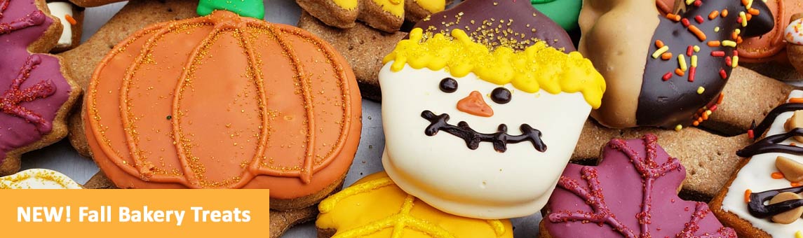 Four Your Paws Only - Pet Specialty Store