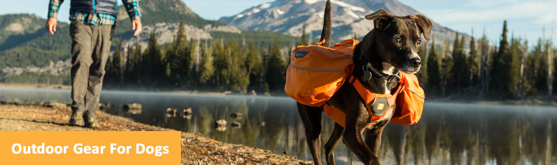 Four Your Paws Only - Pet Specialty Store