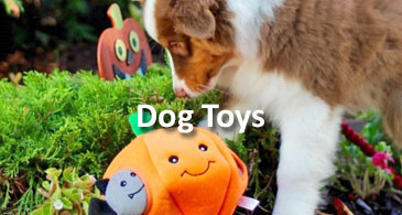 Four Your Paws Only - Pet Specialty Store