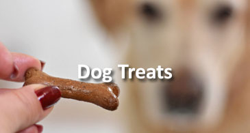 Four Your Paws Only - Pet Specialty Store