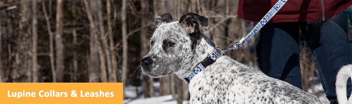 Four Your Paws Only - Pet Specialty Store