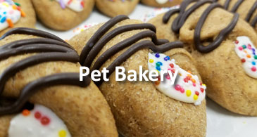 Four Your Paws Only - Pet Specialty Store