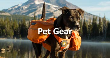 Four Your Paws Only - Pet Specialty Store